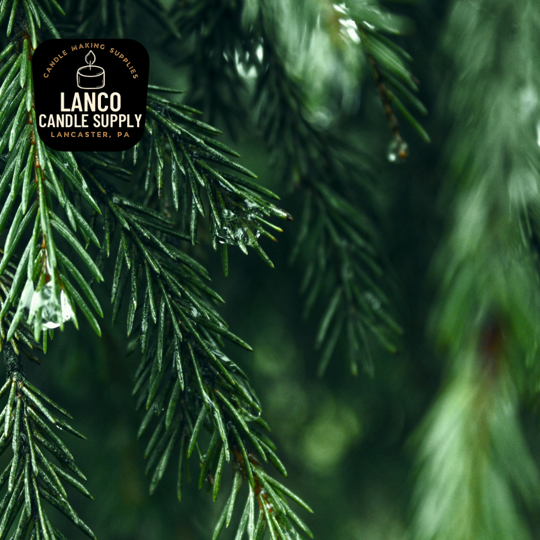 Frasier Fir | Pine Frasier Evergreen Tree Candle Fragrance Oil